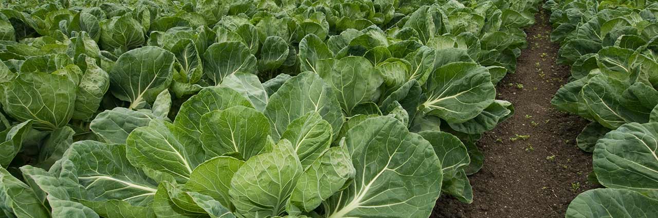 Field Notes Blog – POST