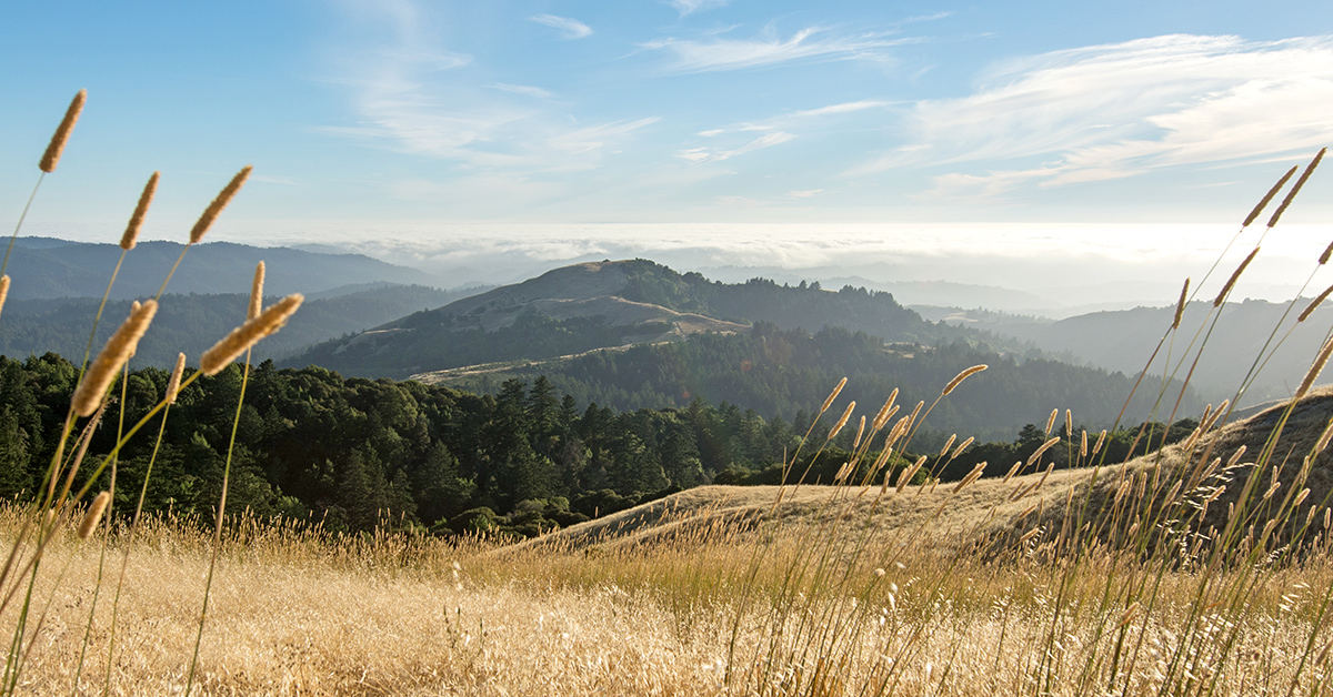Hike Mindego Hill, Russian Ridge Open Space Preserve – POST
