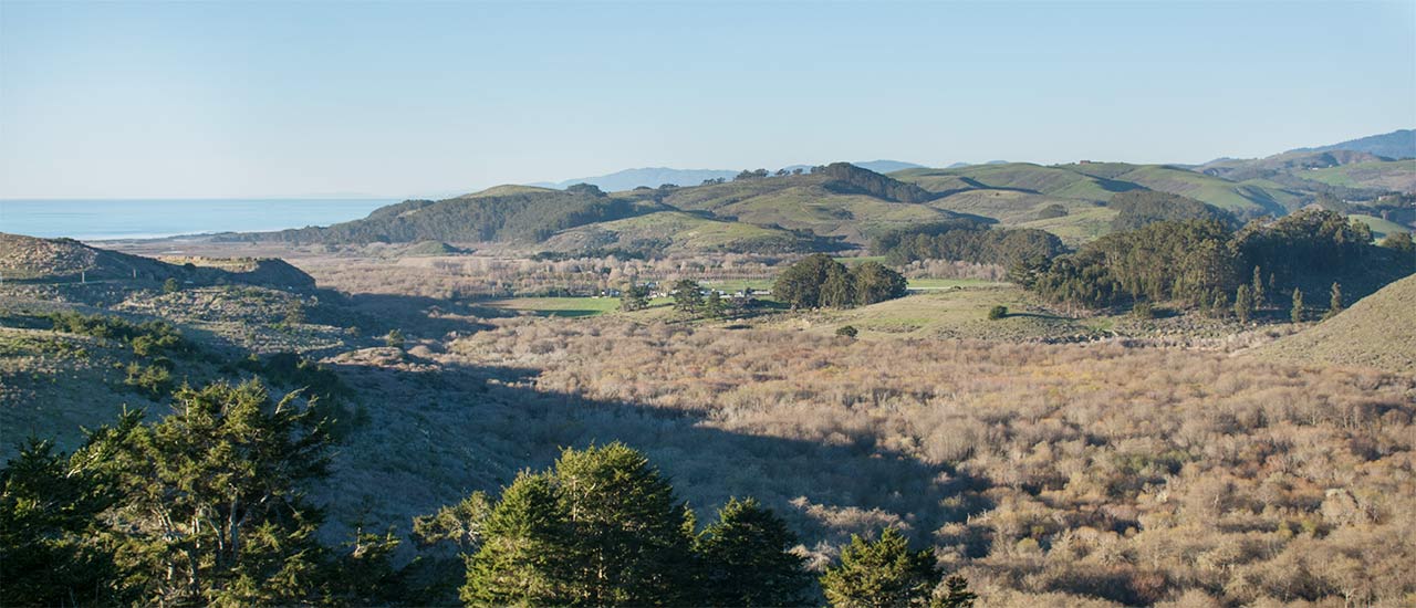 Understanding Butano Creek - POST