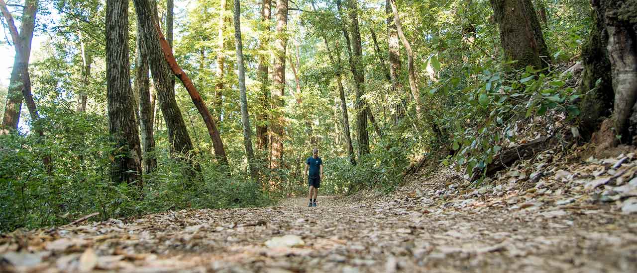 Trail For A Hard Hike - POST
