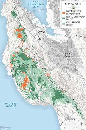 POST Redwoods Program