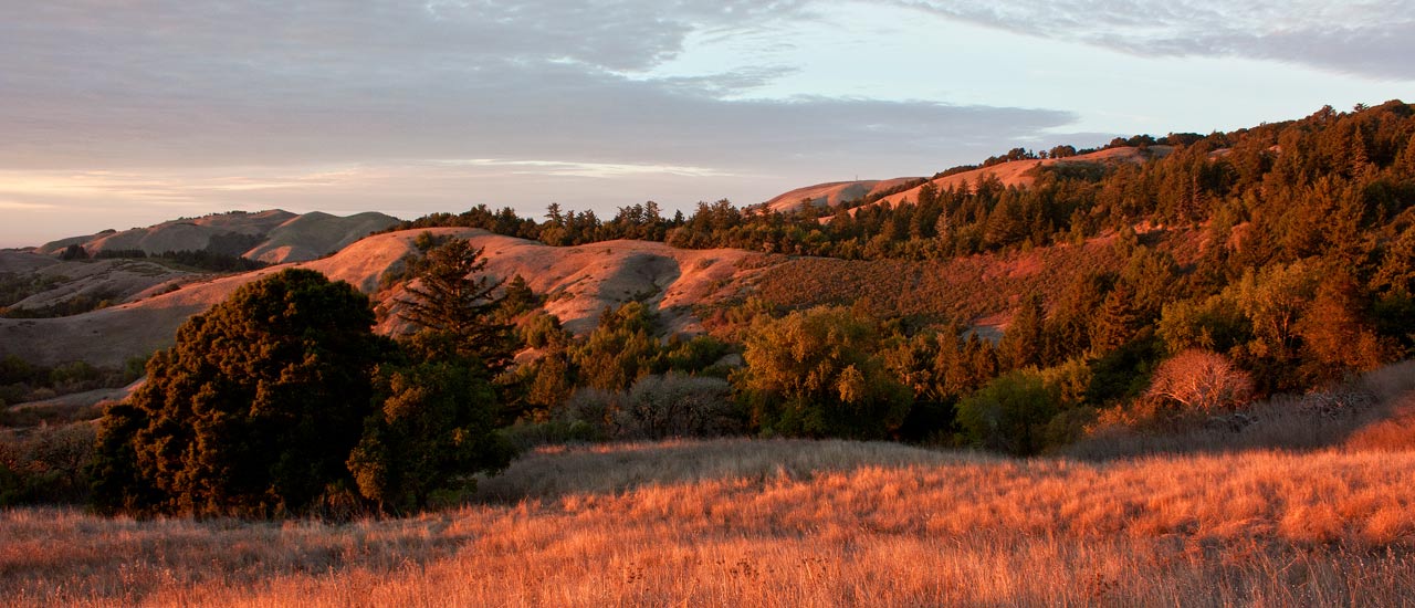 Ridge Trail at Russian Ridge Open Space Preserve – POST