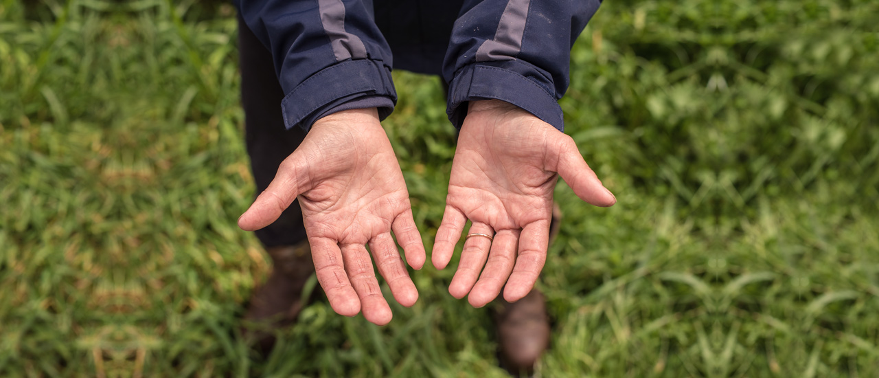 Fifth Crow Farm: Farming for Change in Pescadero, CA